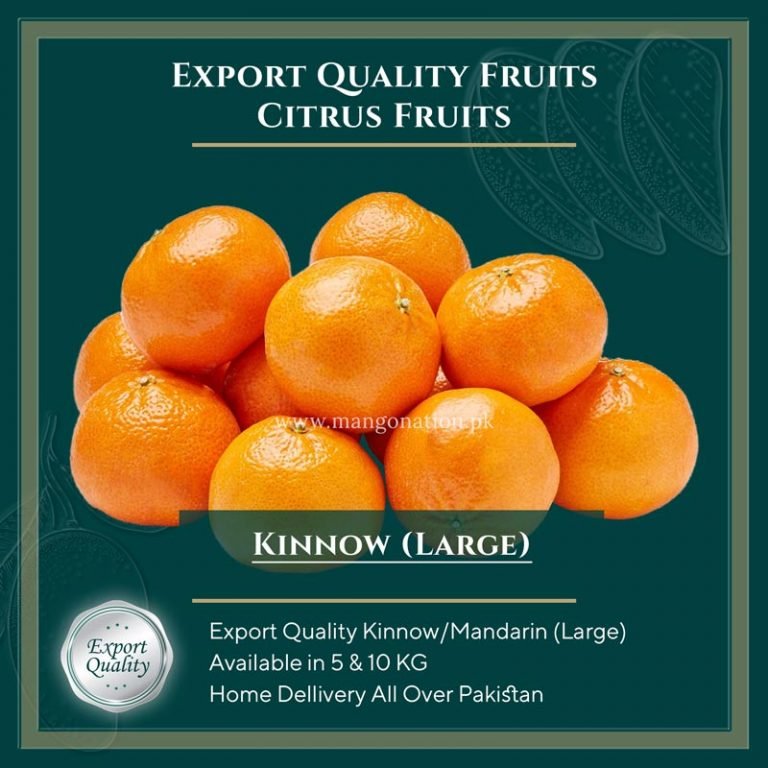 Kinnow Orange - Mandarin - Export Quality - Large - 10Kg