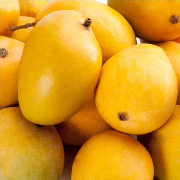 Pakistani Chaunsa Mango چونسا - Mangonation.pk
