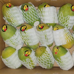 Pakistani Chaunsa Mango چونسا - Mangonation.pk