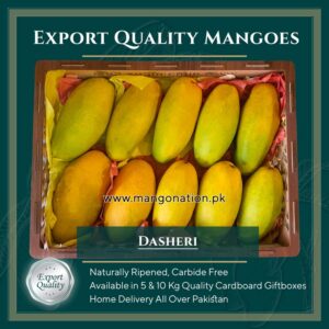 Best Pakistani Mango Home Delivery Service - Mangonation.pk