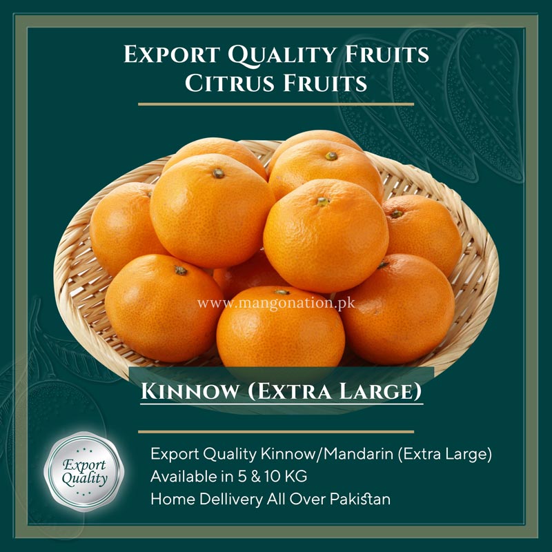 Kinnow Orange - Mandarin - Export Quality - Extra Large 10Kg