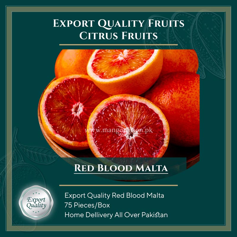 Red Blood Malta - Export Quality Oranges -75 Pieces- مالٹا